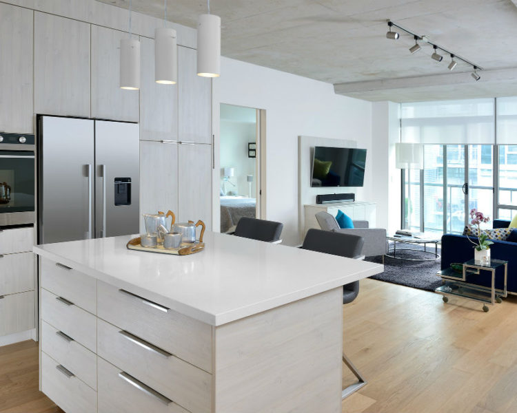 Toronto Kitchens Bathrooms Basement Home Renovator Oakville Contractor